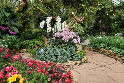 Adding Landscape Accessories
